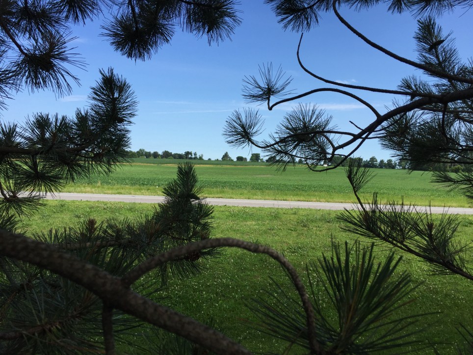 The Crawford Campaign, 1782: Battle on the Sandusky – Emerging ...