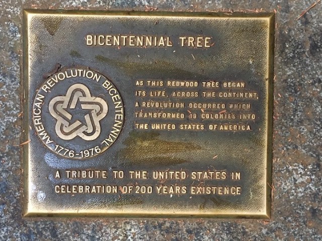 A Tree as Old as the Country – Emerging Revolutionary War Era