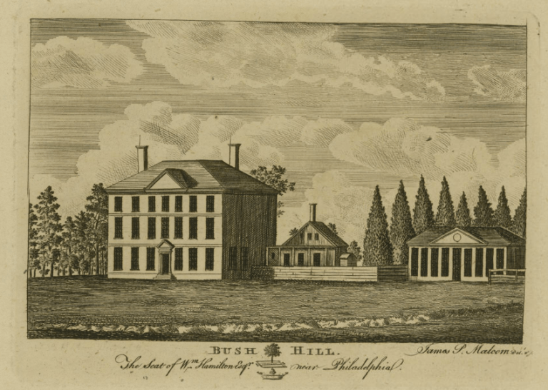 “Bring Out Your Dead”: The Yellow Fever Epidemic of 1793 – Emerging ...